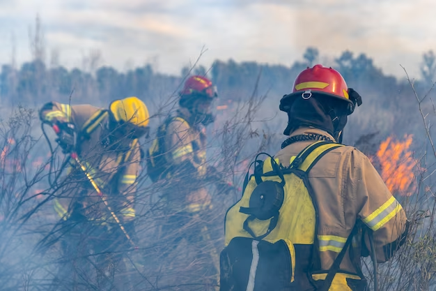 Wildland Firefighter Salaries: Earnings & Influences